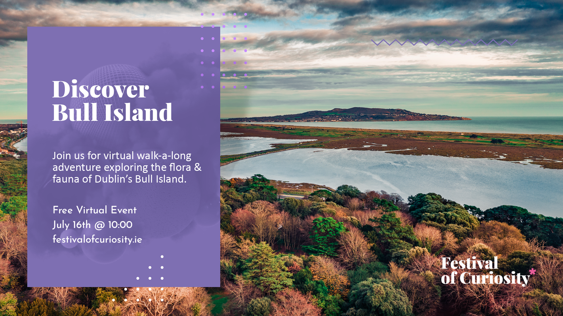 Discover Bull Island - The Festival of Curiosity