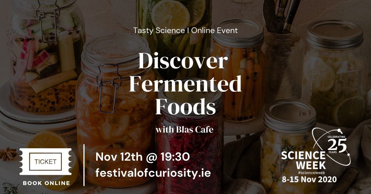 Food for the Curious: The Tasty Science of Fermented Foods - The ...